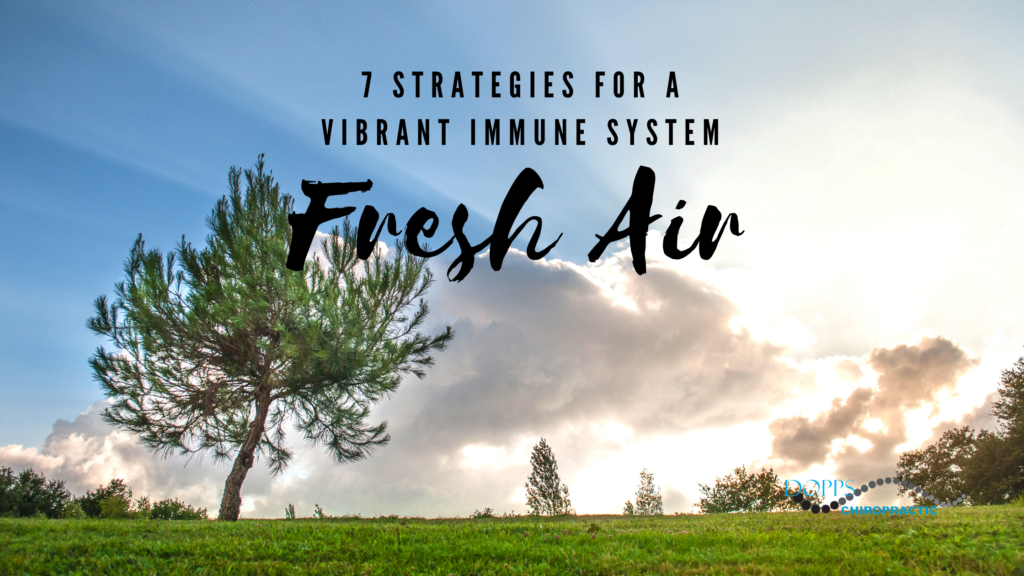 7 Strategies for A Vibrant Immune System: Fresh Air