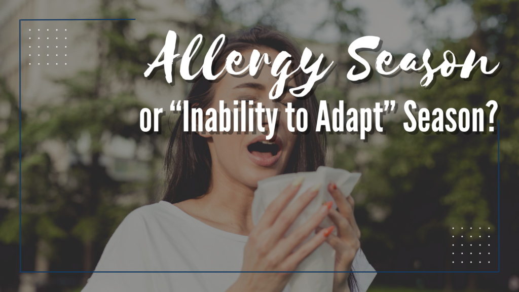 Allergies and Chiropractic: How They’re Related!